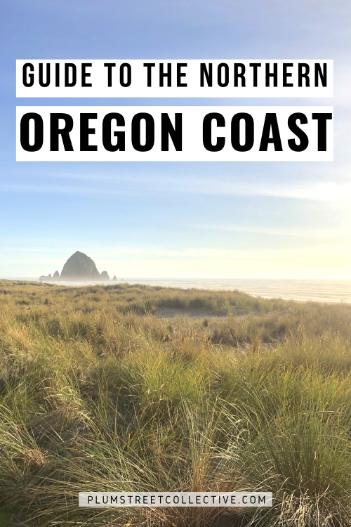 Best Beaches to Visit on the Northern Oregon Coast - Plum Street Collective